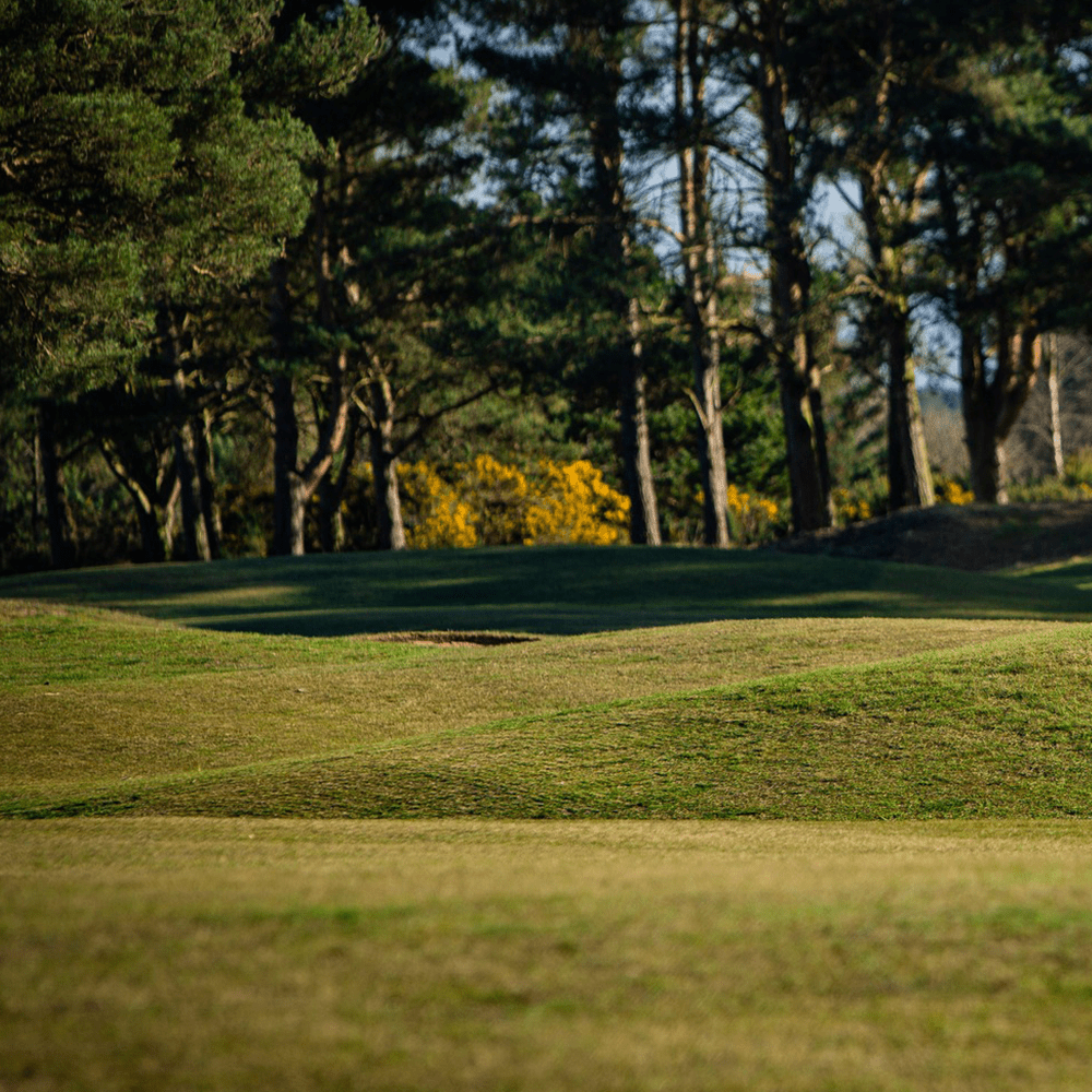Scotscraig Golf Course | ProScot Golf Tours