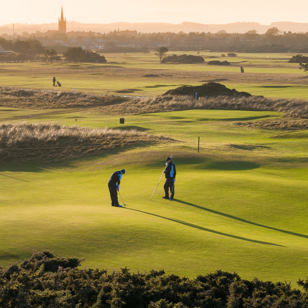 Montrose Links