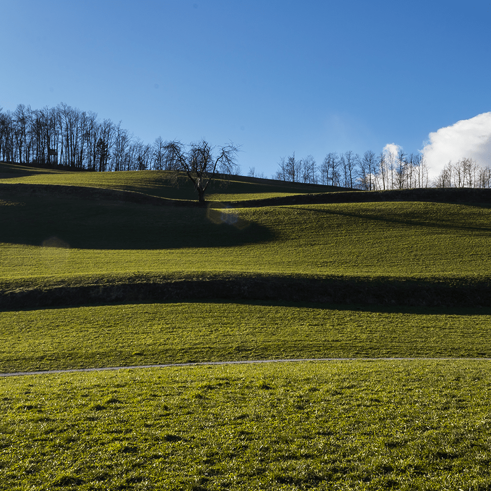 Golf Travel Experts in Scotland | How a Travel Agent Enhances Your Trip